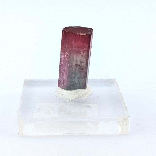 Turmalina Sandía 2.2x1 cm